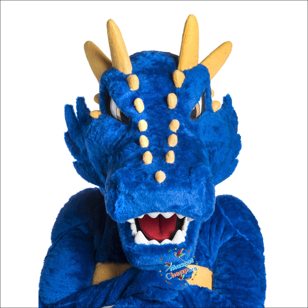 Blue Dragon Handsome Mascot Costume Rational Price