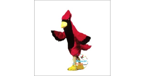 Best Practices for Wearing and Maintaining Bird Mascot Costumes