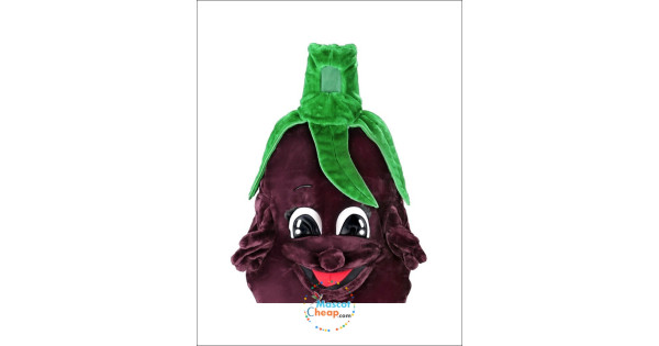 Butterfly Mascot Costume Maintenance: Keeping Them Pristine