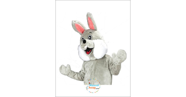 Safety First: Ensuring Comfort and Security in Mascot Costume Performance