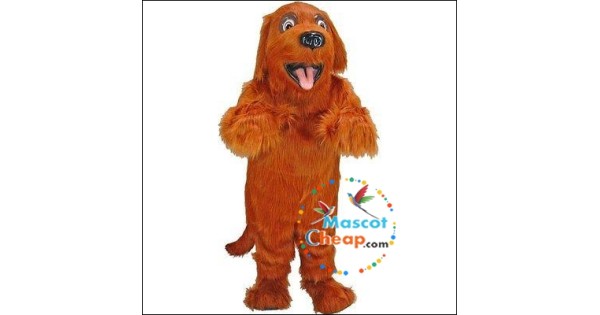 Top 10 Cheap Dog Mascot Costumes for Large Dogs